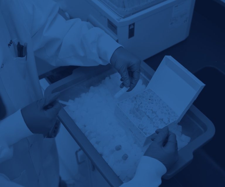 In Vivo Gene Therapies - ElevateBio