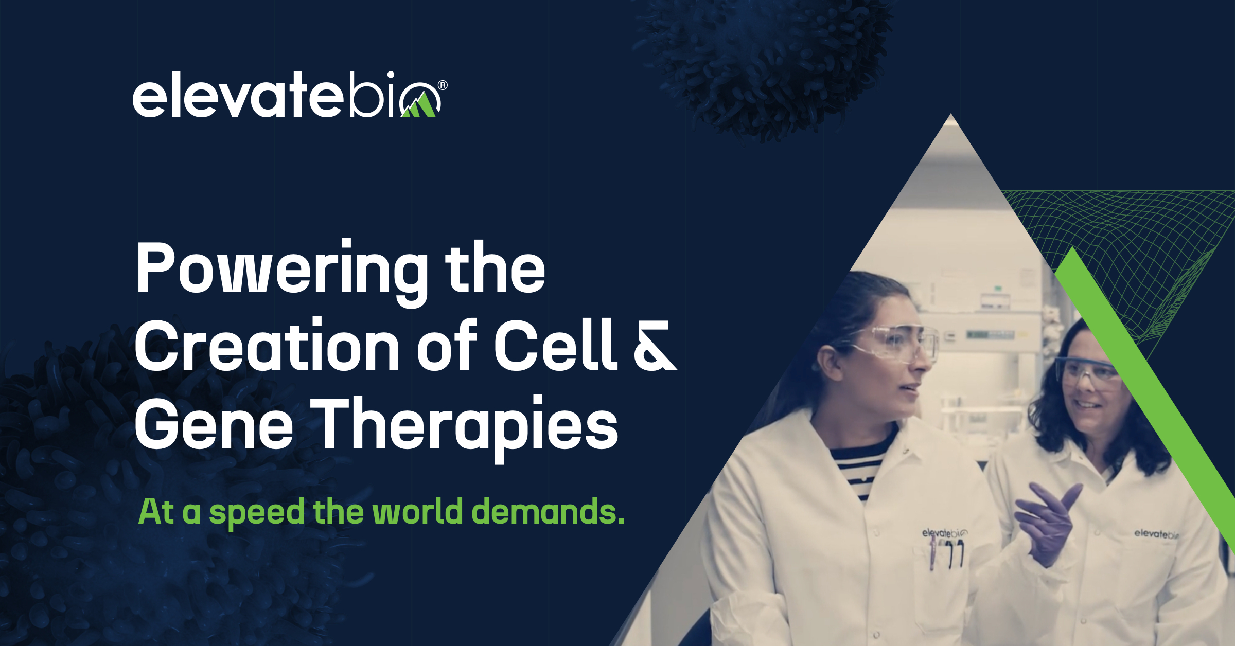 ElevateBio’s HighPassBio Presents on Novel T Cell Receptor Cell Therapy ...